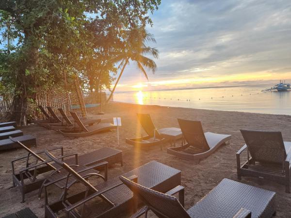 Aivymaes Divers Resort - Dauin