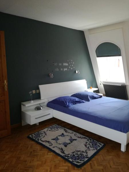 "Côté Cœur", Charmant Appartement Au Centre De Munster - Munster