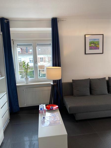 Preiswertes Stilvolles Zimmer Im Privaten Haus Mit Großem Schönem Modernem Gemeinschaft Badenzimmer - Weil am Rhein
