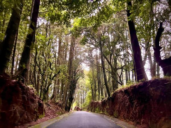 Residencial De Montaña Los Quetzales - Costa Rica