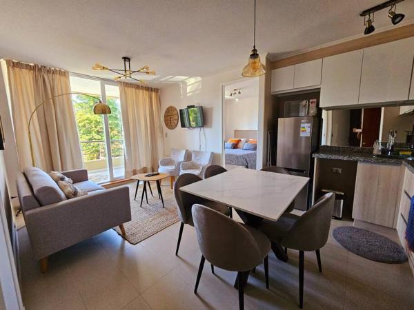 Bello Departamento - Pucón