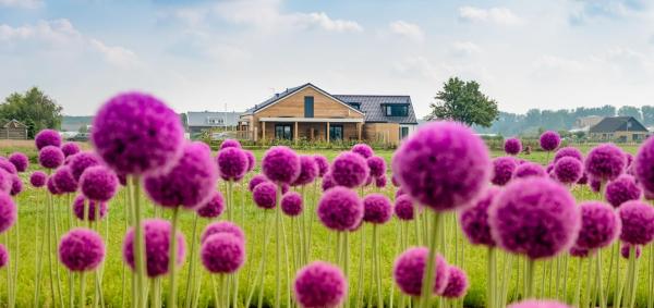 B&b De Cley - Noordwijkerhout