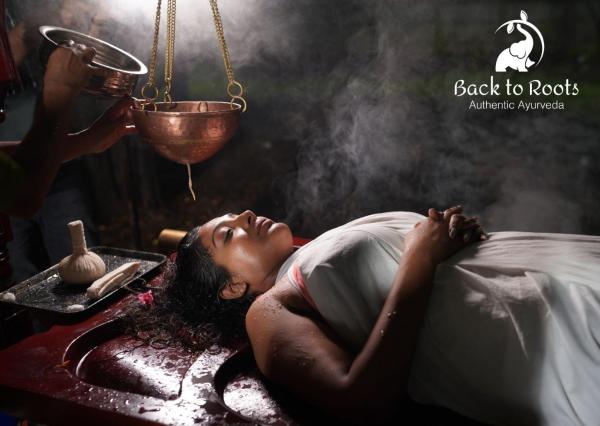 Back To Roots Ayurveda Retreat - Kerala