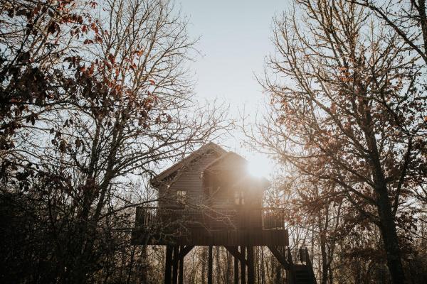 Cabane Rouge-gorge - Nouvelle-Aquitaine