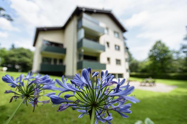 Ferienwohnung Marie - Goslar
