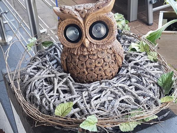 Eulennest Im Souterrain - Doetinchem