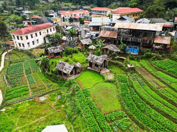 Mina Eco Home - Vietnam