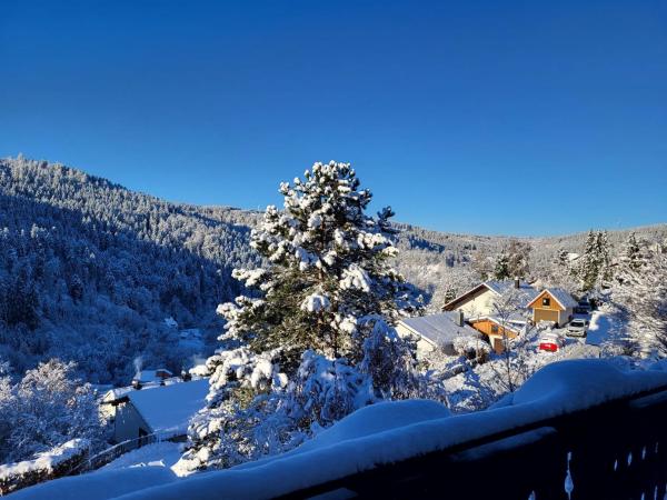 Große Ferienwohnung In Ruhiger Lage Mit Toller Aussicht In Triberg - Triberg im Schwarzwald