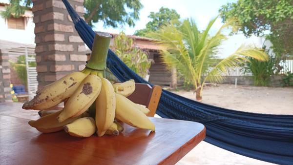 Chalés Peixes & Tartarugas - São Miguel do Gostoso