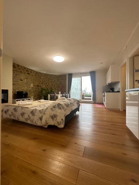 Podere Belsogno-bilocale Ulivo - Montalcino