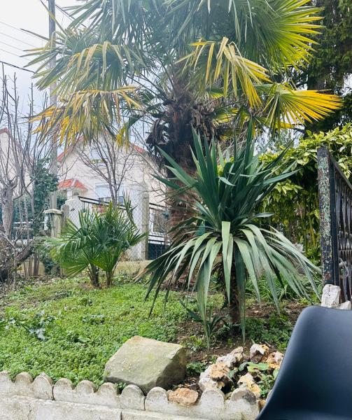 Appartement Avec Jardinet, Fête Interdite ! - Bougival