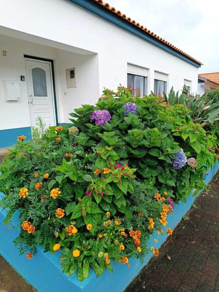 Apartamento Da Matilde - Açores