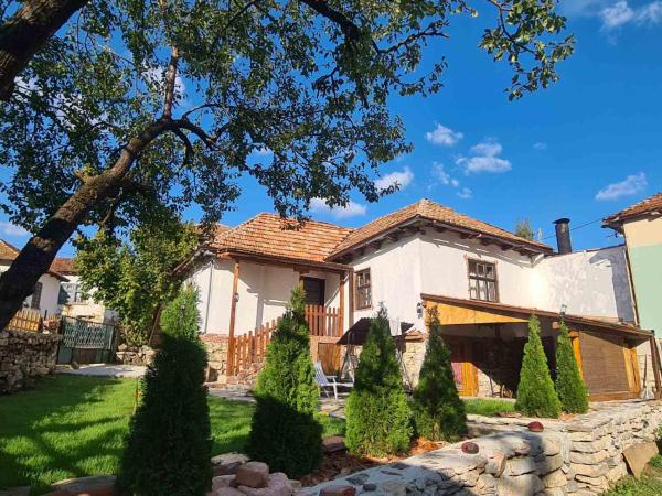 Vila Antić - Serbien