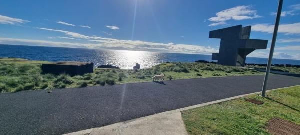 Casa Do Pescador - Azores