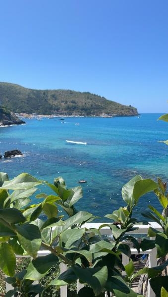 Hotel Ficocella - Ascea