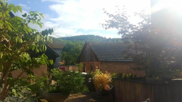 "Côté Nature", Appartement Cosy Au Cœur De Munster - Munster