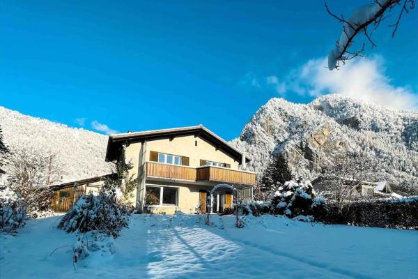 -The Urbanist- Mountainview Parking Garden 3bd - Wilderswil