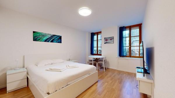 Modern Studio In The Heart Of Geneva - Geneva