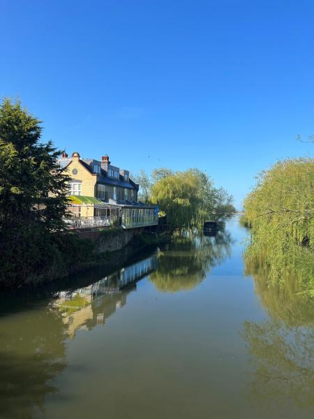 The Three Pickerels - Ely