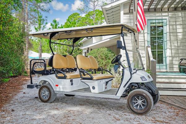 Blue Pine Sea-clusion - Seagrove Beach, FL