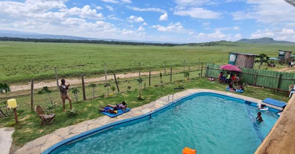 Mambo Game View - Kenya