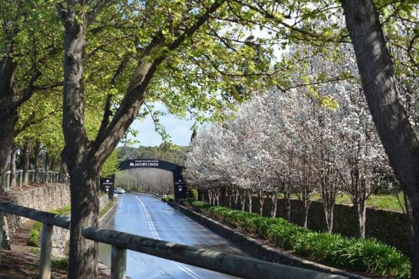 Blackbird Cottage - Stunning Views & Farm Animals - Tanunda