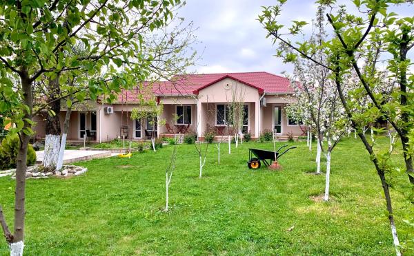 Cozy Family Cottages - Azerbaijan