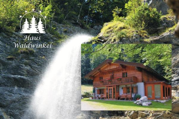 Ferienwohnungen Haus Waldwinkel - Walchsee