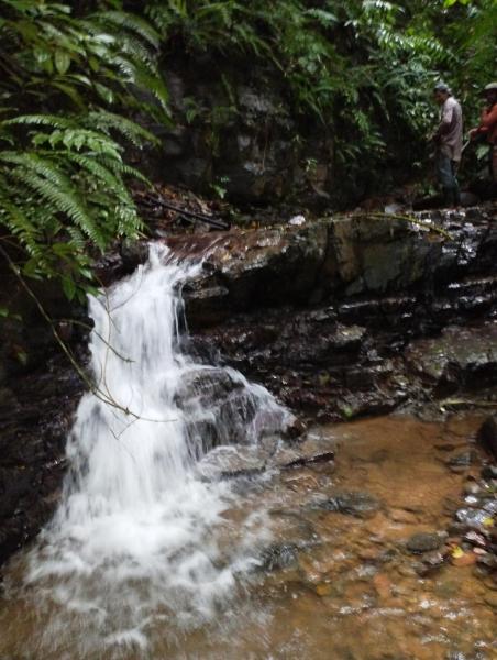 Finca Makambu - 코스타리카