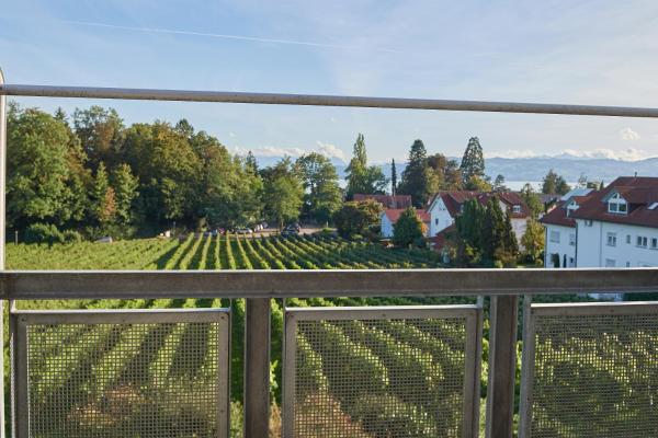 Ferienwohnungen Weingut Deufel - Lindau