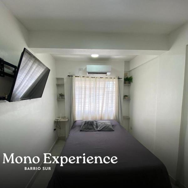 Mono Experience In Smdt- Near Casa Historica - San Miguel de Tucumán