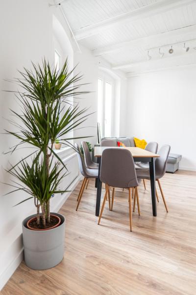 Torun Bridge Apartament - Toruń