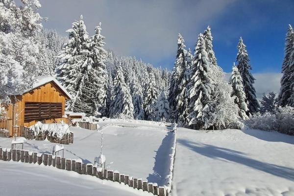 Comfortable Apartment Near The Ski Station With Parking - Elm