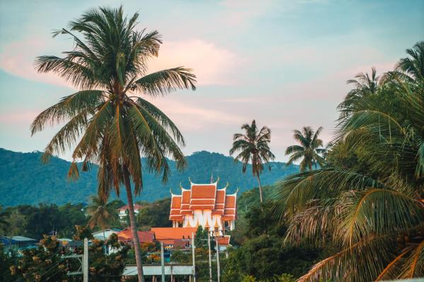 Scubadoo House And Diving - Ko Tao