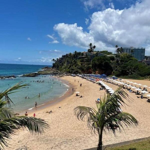 Apartamento Acolhedor Na Praia Da Paciência - Rio Vermelho - 살바도르