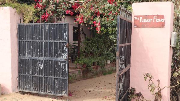 Hotel The Pushkar Flower - Pushkar