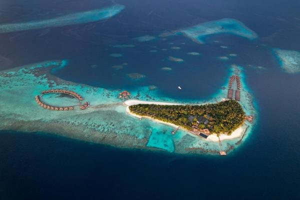 Coco Bodu Hithi - 50 Percent Off Shared Roundtrip Speedboat For Stays From 1 May To September 2025 - Maldives