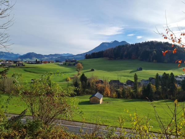 Ferienhaus Buchen - Dornbirn