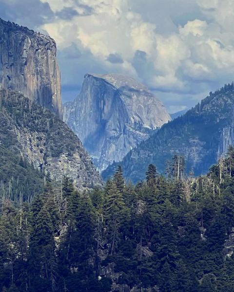 Twain Harte Retreat W/ Lake Access, Ski/yosemite - Twain Harte, CA