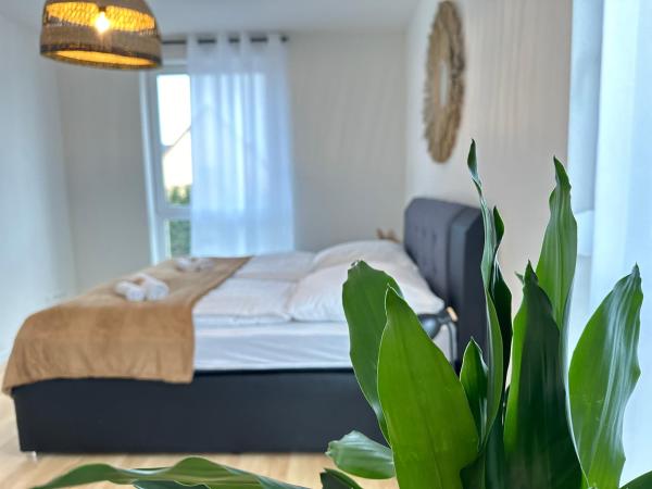 Amao Grey - 86 M2 Apartment - Balcony - King-size Beds - Free Parking - Near Europa-park - Up To 12 Guests With 2 Units - Rust