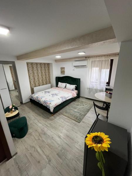 Solaria Studio - Galați