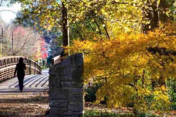 Southern Charm In Buckhead - Colt Creek State Park, Lakeland