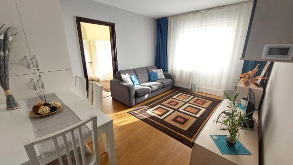 Interex Apartment - Transylvania
