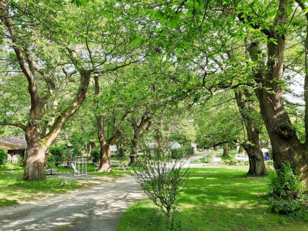 Camping Le Rural- 3 éToiles - Lannemezan