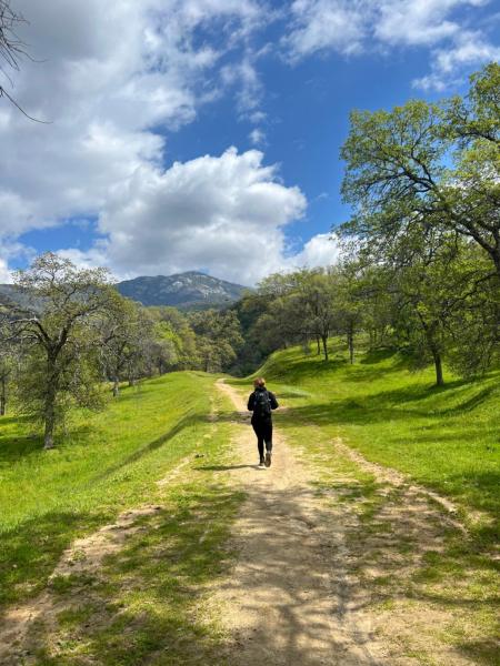 Modern Cabin, Near Snow Park, 3.5 Miles To Snp! - Three Rivers, CA