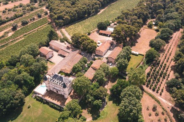 Château Saint Martin De Graves - Pézenas