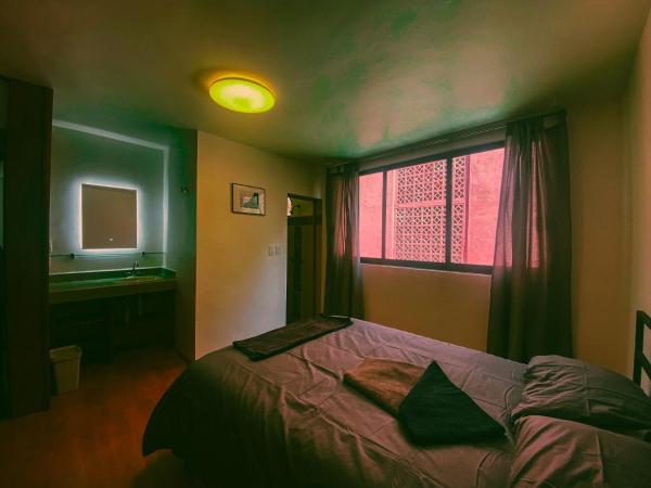 Central & Cozy Studio With Rooftop View 1 - 墨西哥城