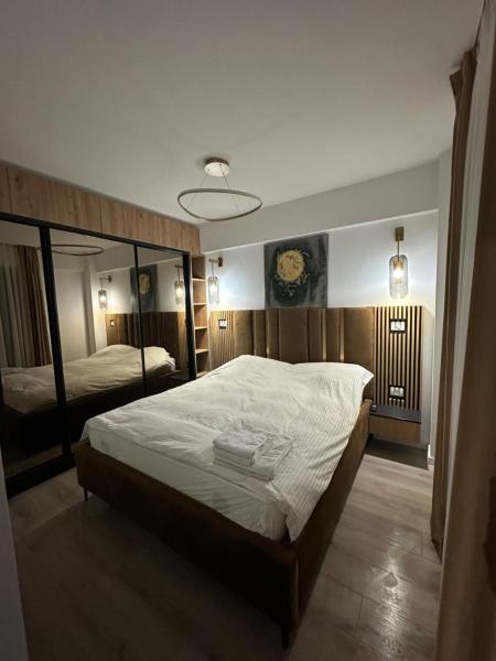 Q Business Apartment - Timișoara