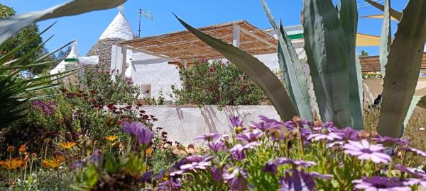 Estate Nel Trullo - Grottaglie