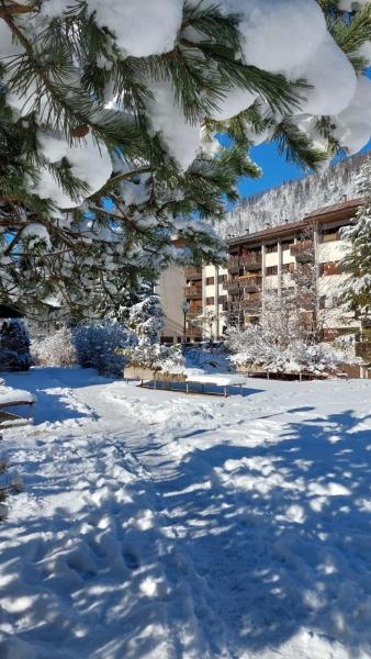 Mountain Apartment Rododendro - Tarvisio